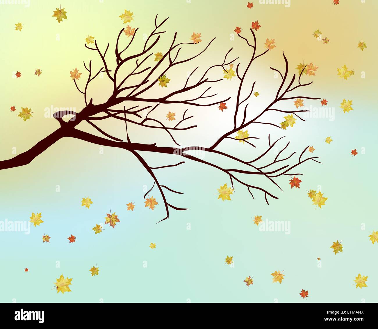 Autumn maple leaves background. Vector illustration with mesh. EPS10 ...