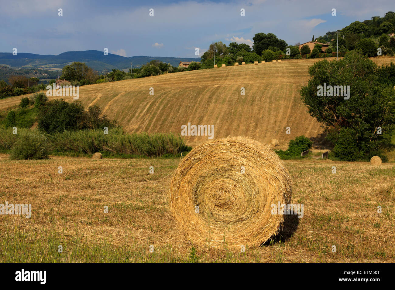 Umbria landscape, Umbria, Italy Stock Photo - Alamy