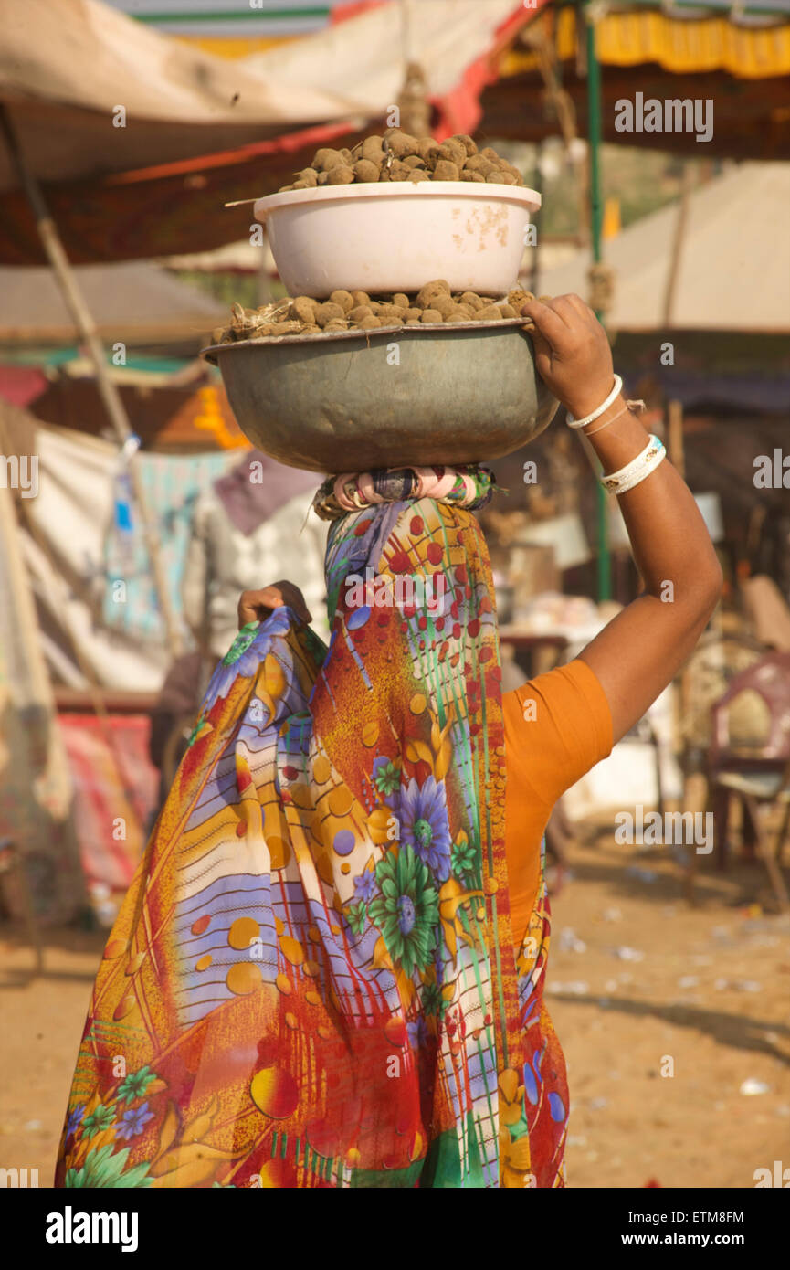 Camel dung hi-res stock photography and images - Alamy