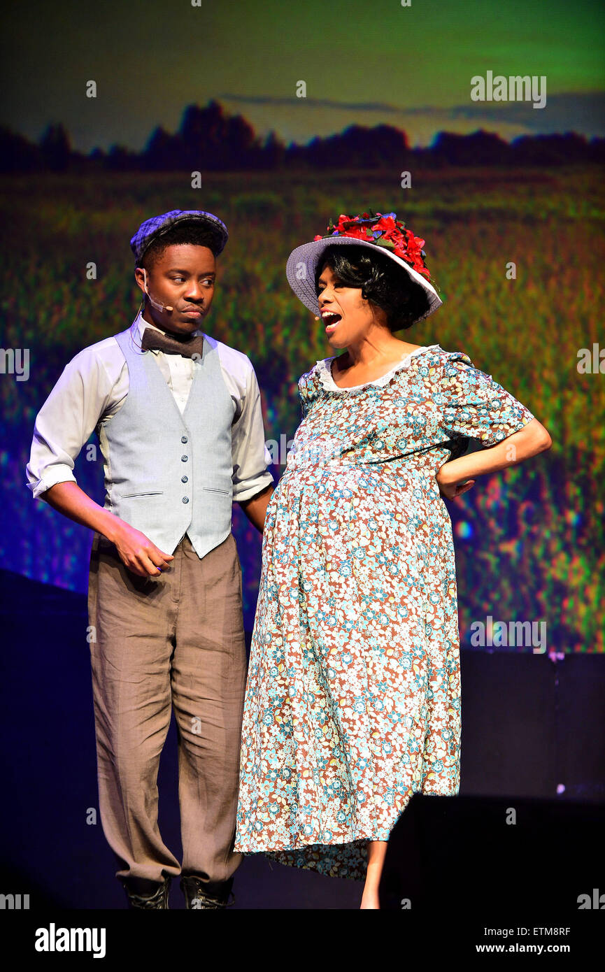 The cast of 'The Color Purple' perform on stage at James L Knight ...