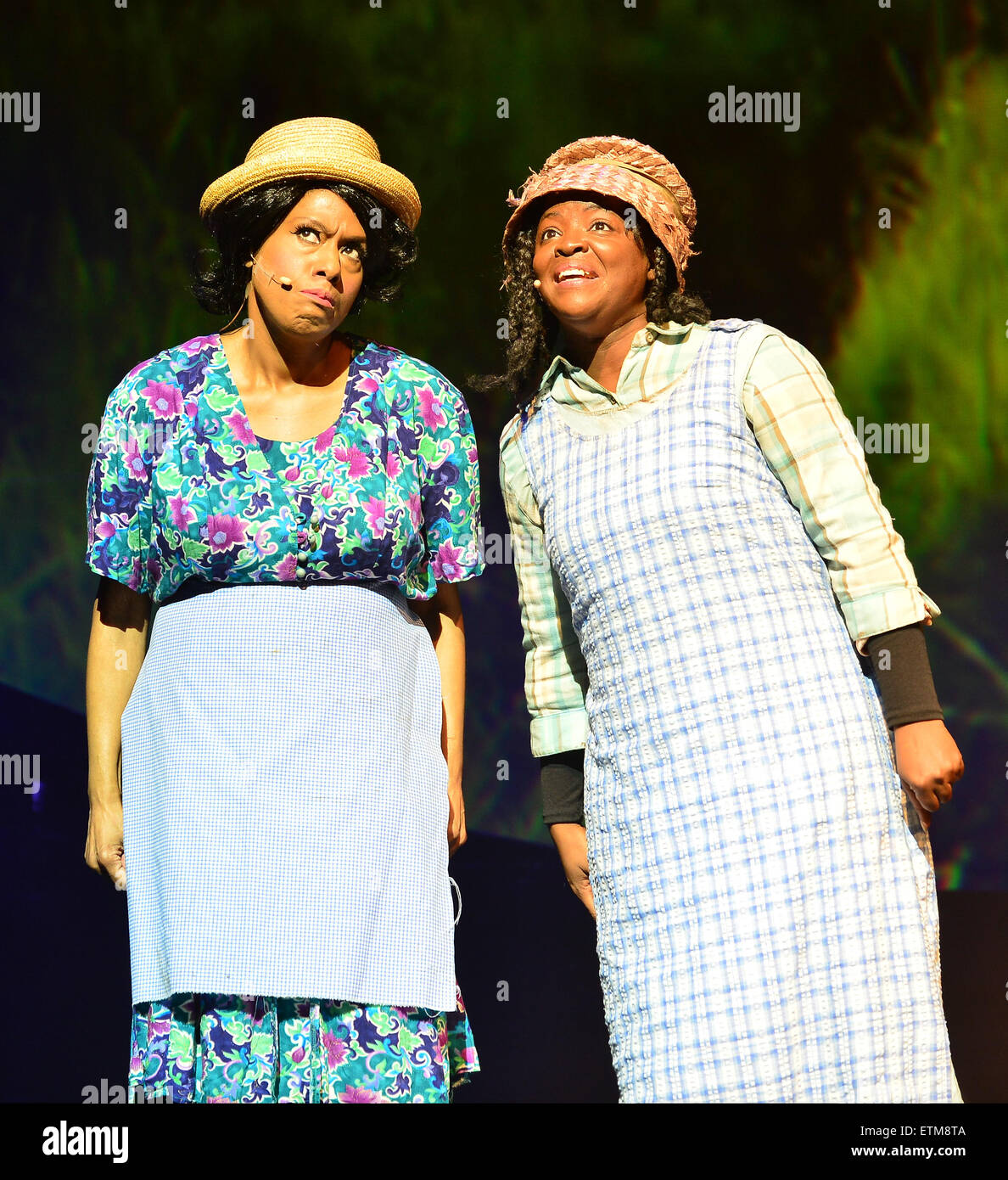 The cast of 'The Color Purple' perform on stage at James L Knight ...