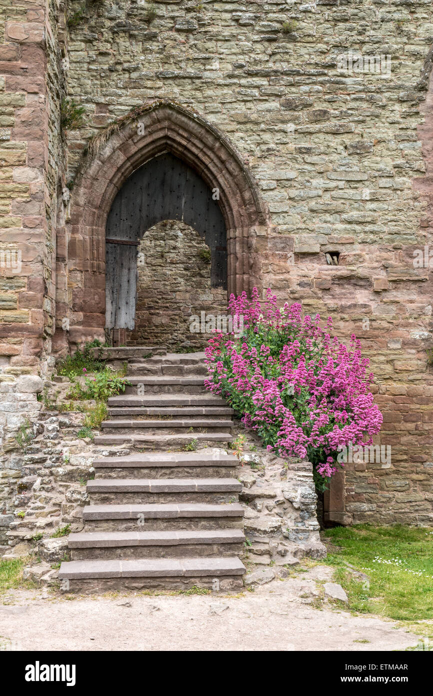 Castle steps up to wooden door Stock Photo - Alamy