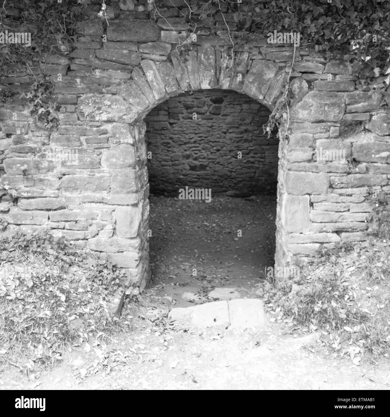 Ice room hi-res stock photography and images - Alamy