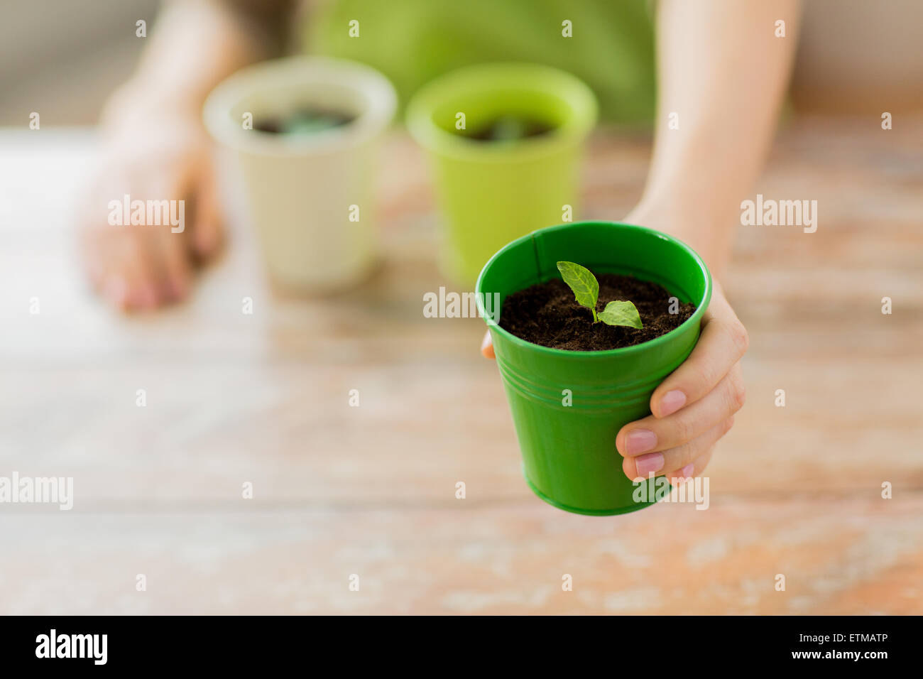 Sprout pot hi-res stock photography and images - Alamy