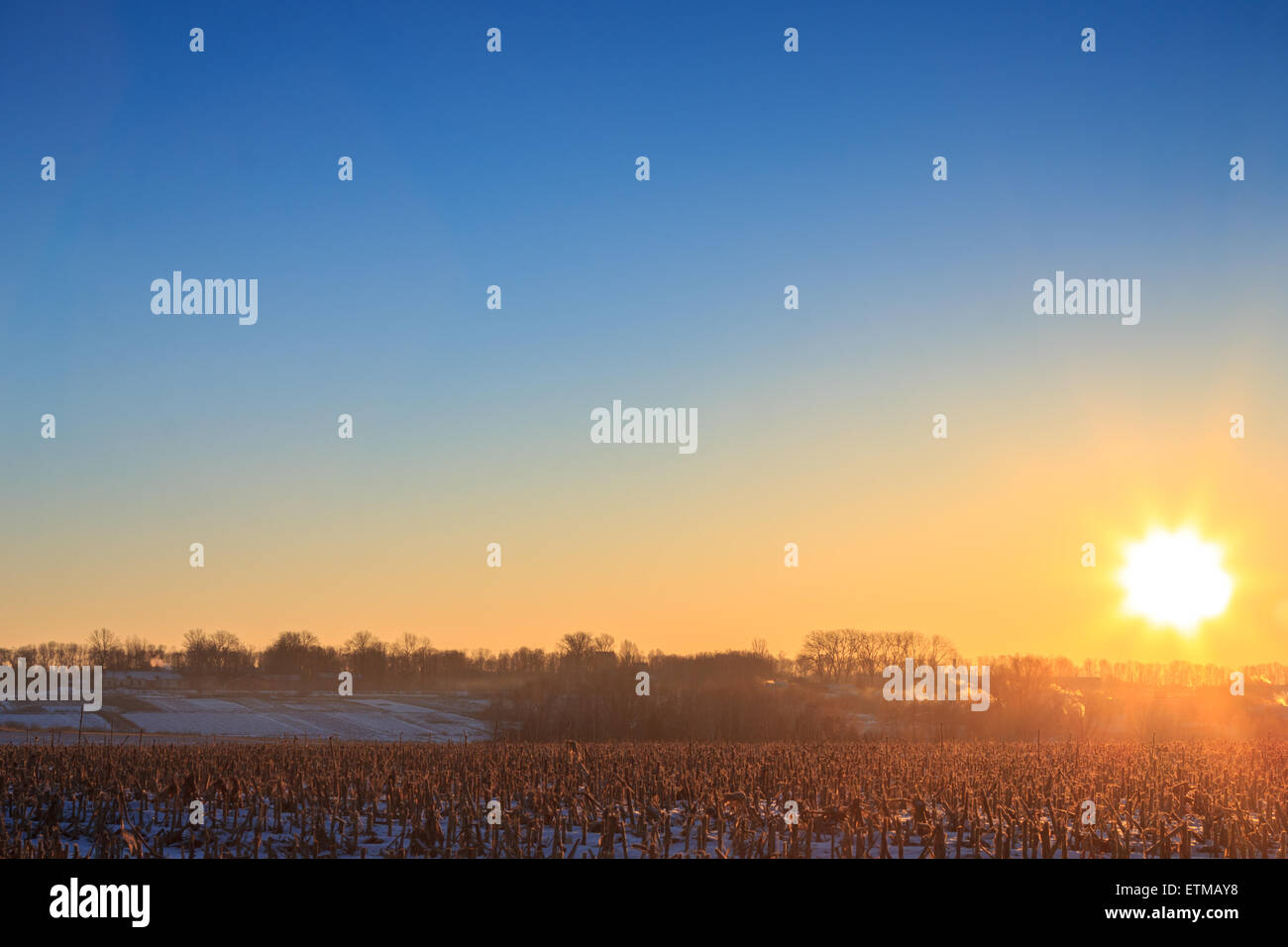 Sunrise Nature background. Blue sky with sun at horizon at early winter ...