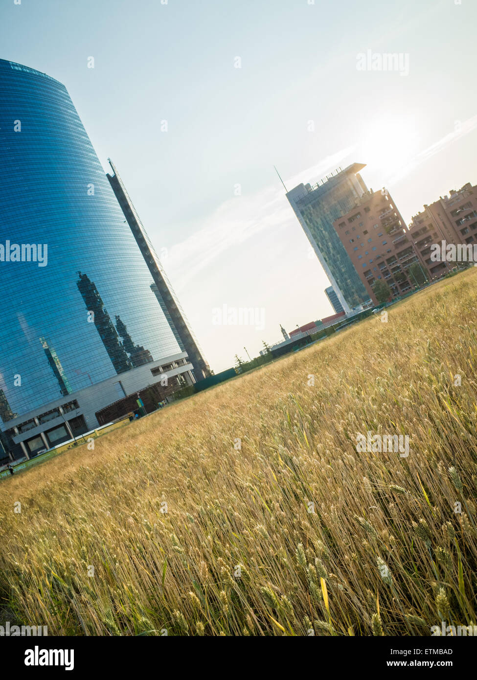 Agnes denes hi-res stock photography and images - Alamy