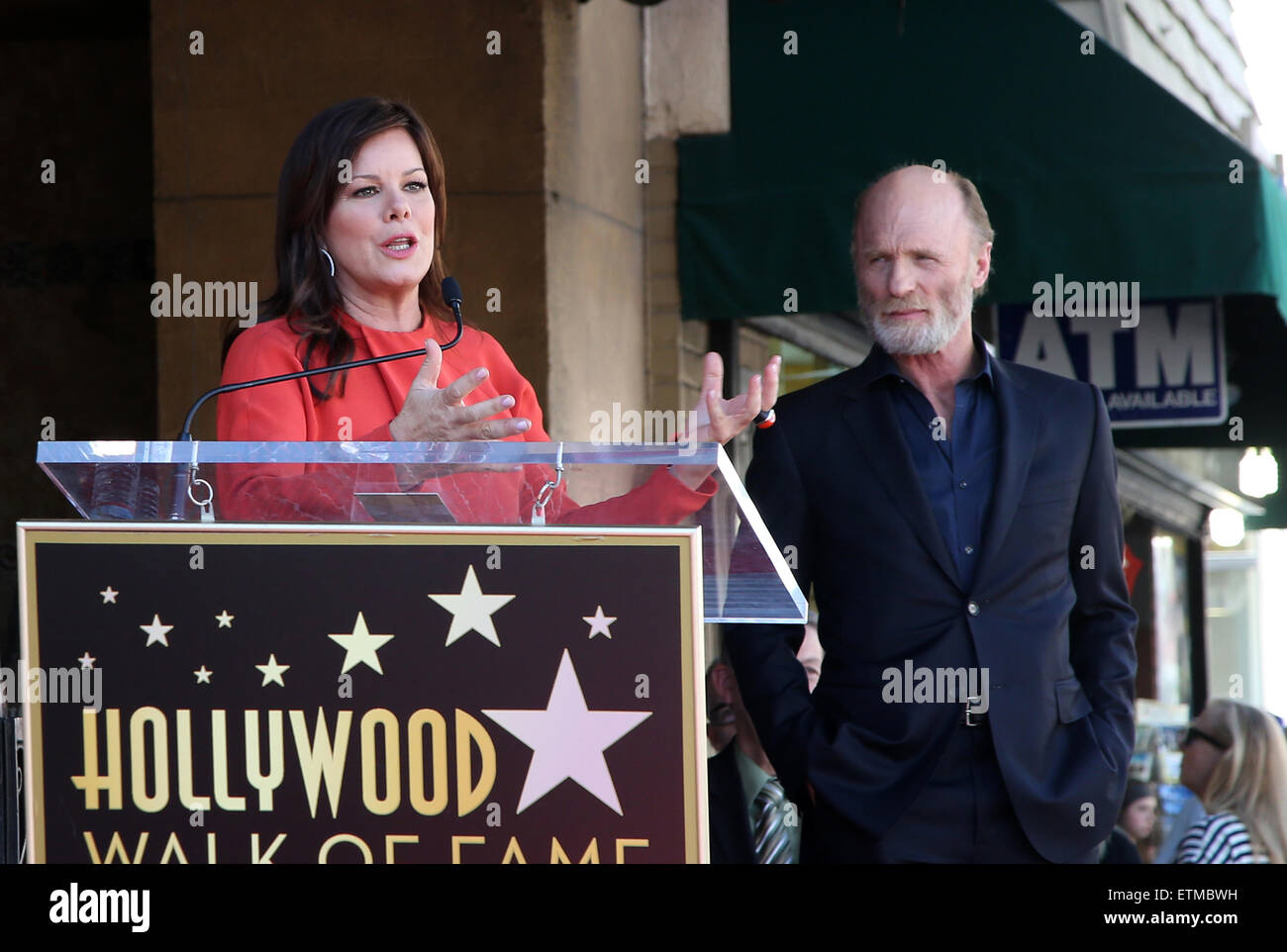 Ed Harris is honored with a star on the Hollywood Walk of Fame ...