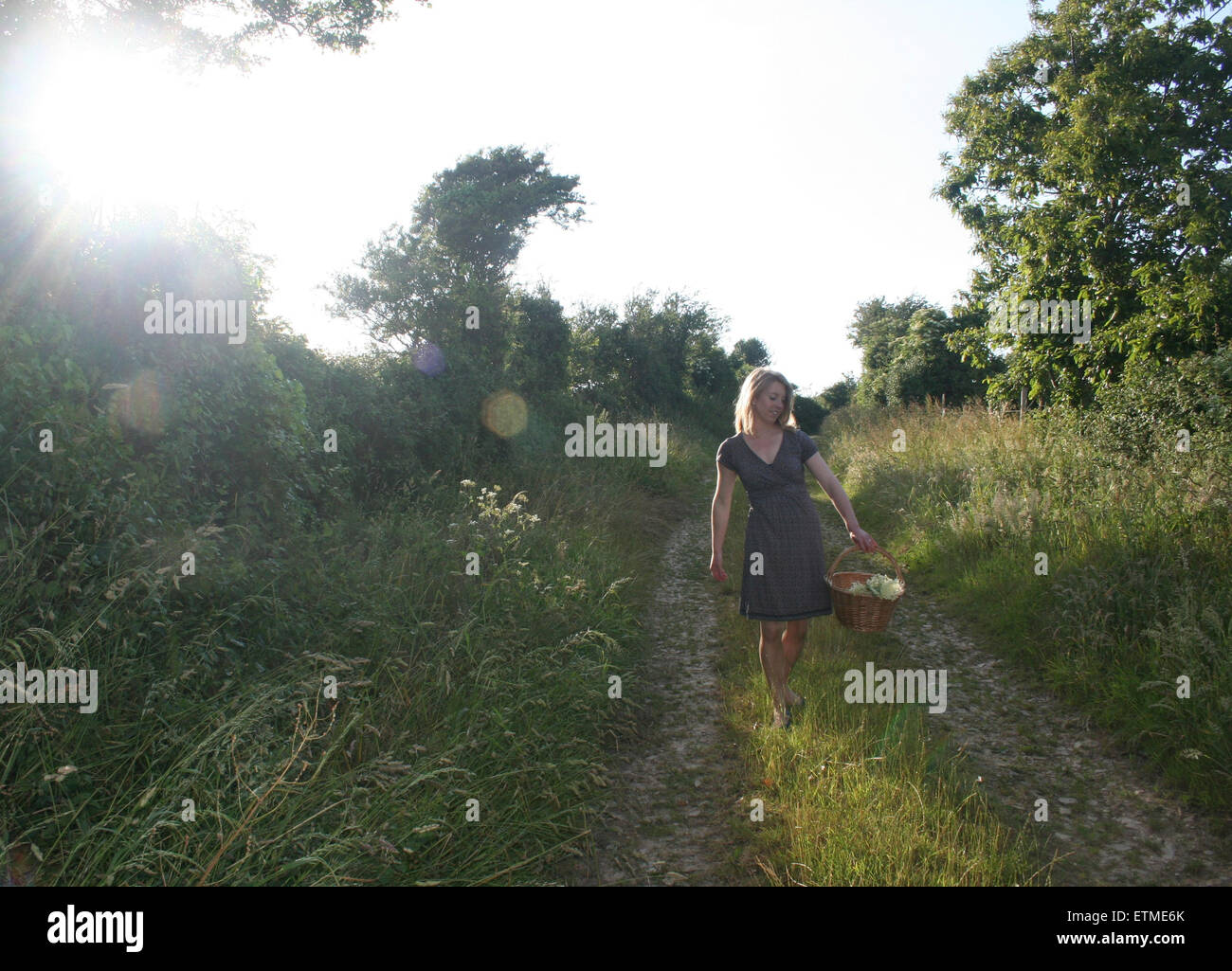 Wild Food Gathering Stock Photo - Alamy