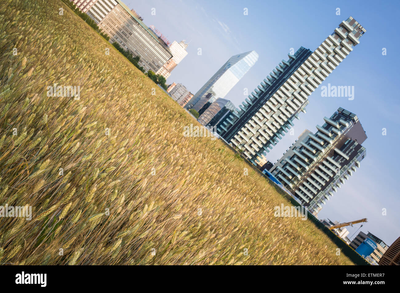 Agnes denes hi-res stock photography and images - Alamy