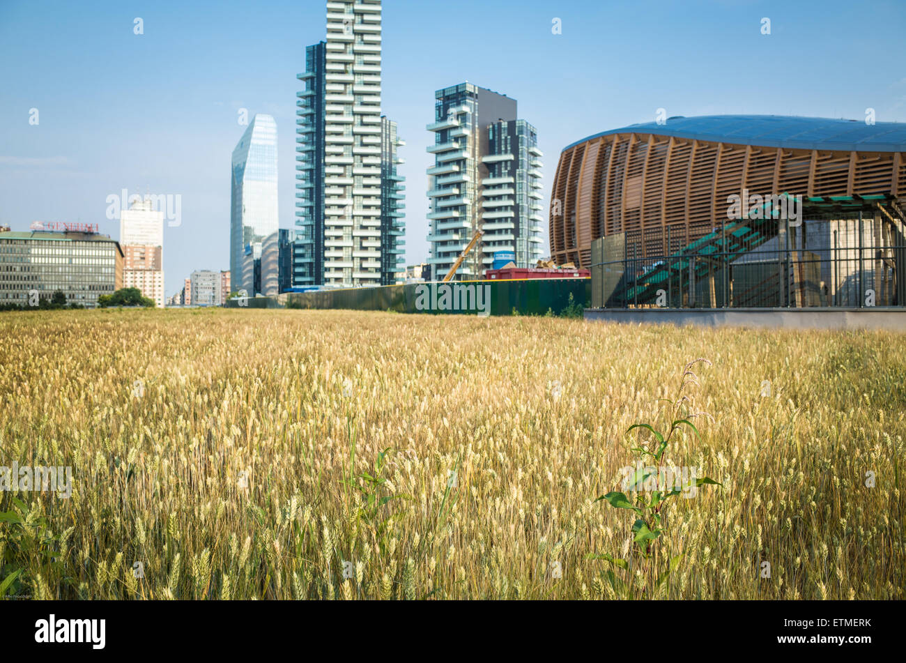 'Wheatfield" is the work of land art by American artist Agnes Denes ...