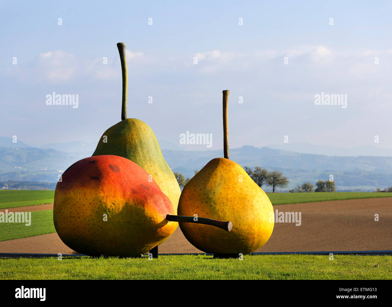 Oversized Pear sculptures in Amstetten, Mostviertel, Lower Austria ...