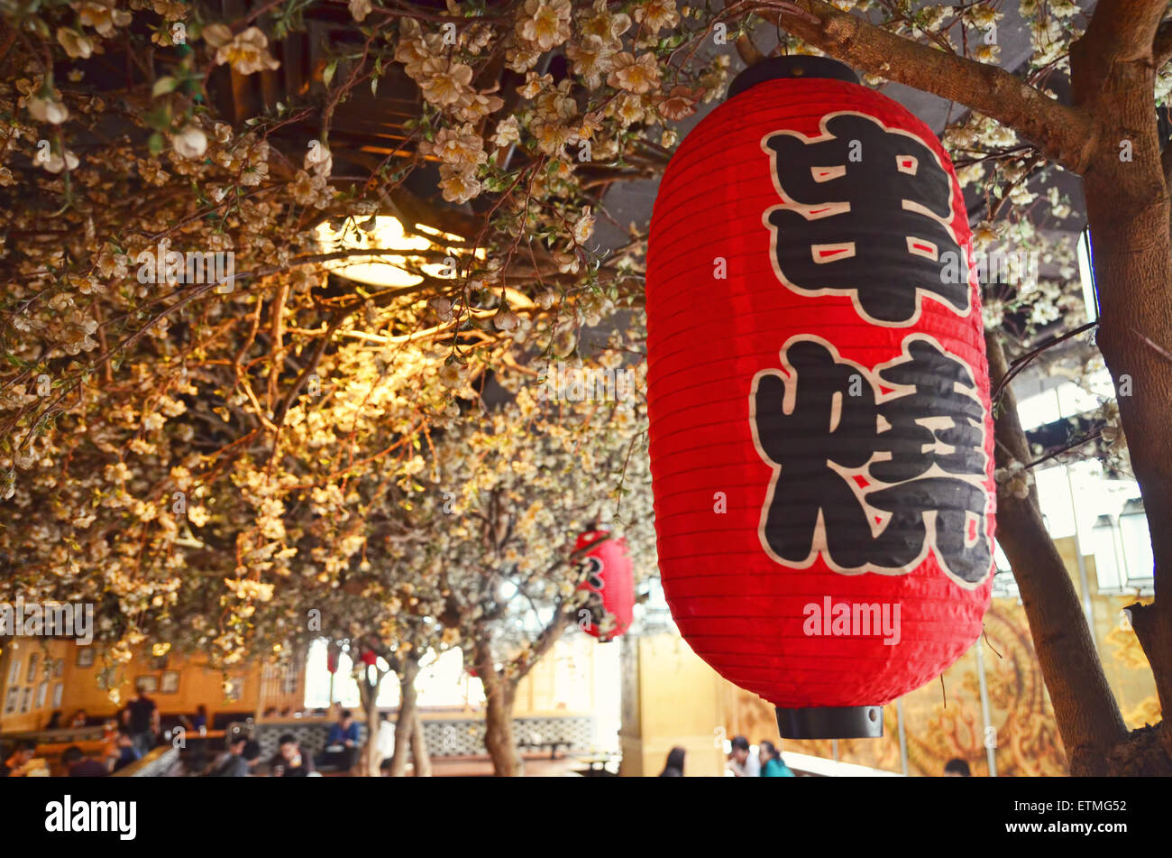 Japanese red lantern hanging on the tree Stock Photo - Alamy
