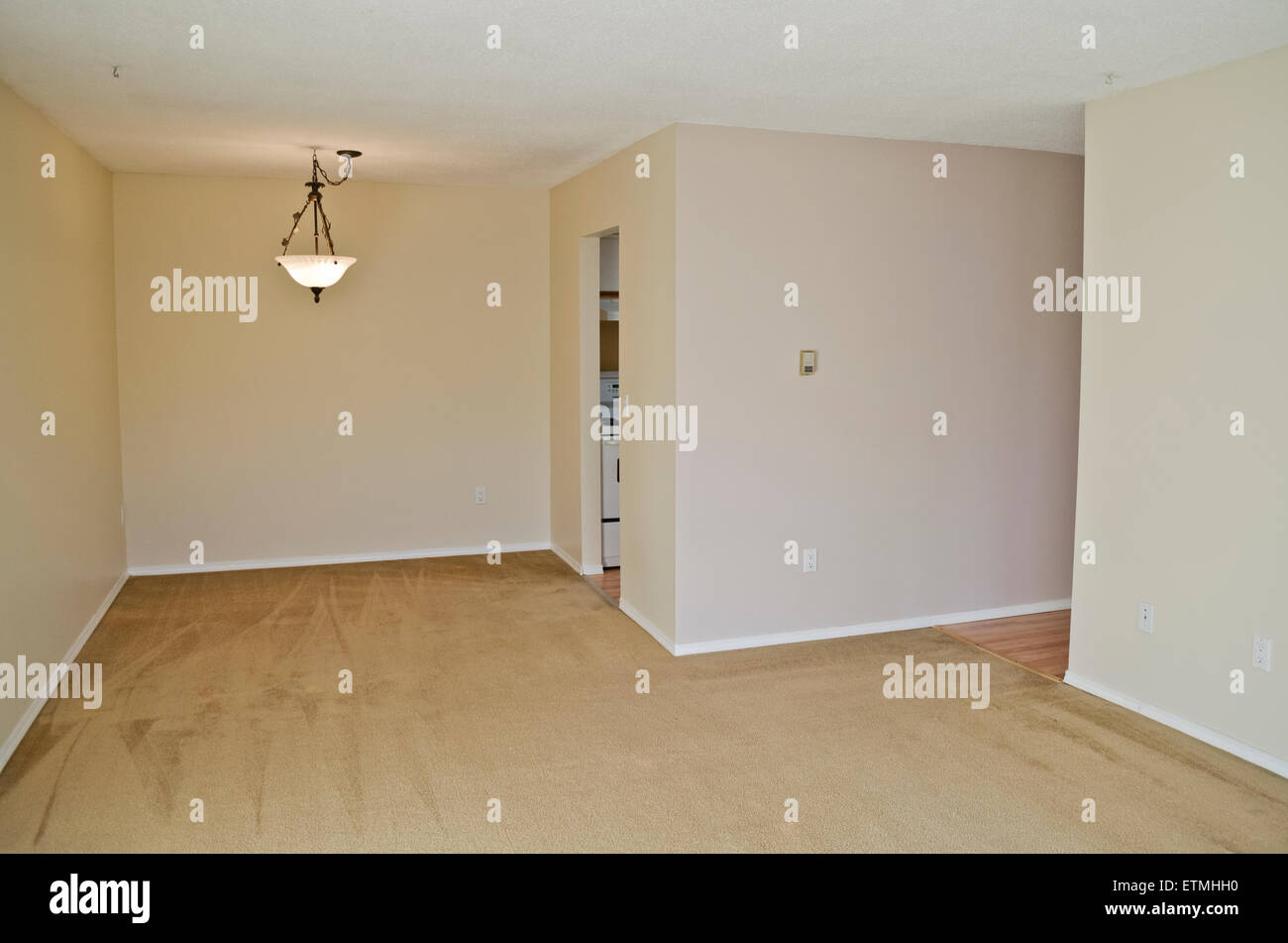 Empty apartment living and dining rooms in a low-rise flat. With ...