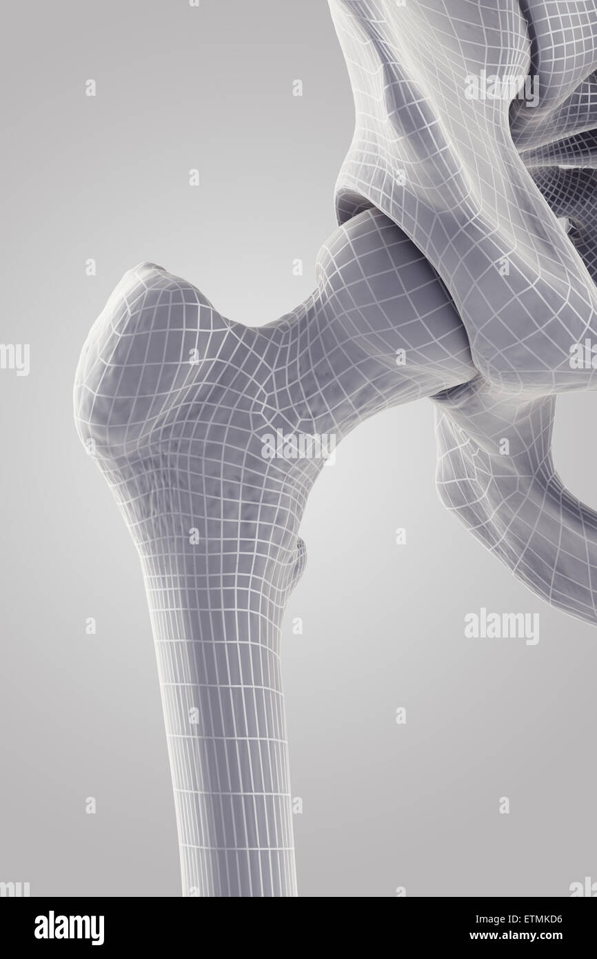 Human hip joint hi-res stock photography and images - Alamy