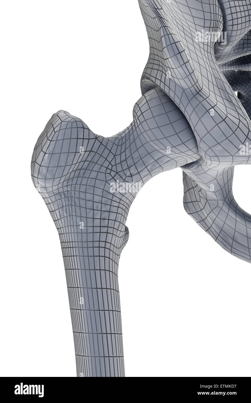 Hip joint hi-res stock photography and images - Alamy