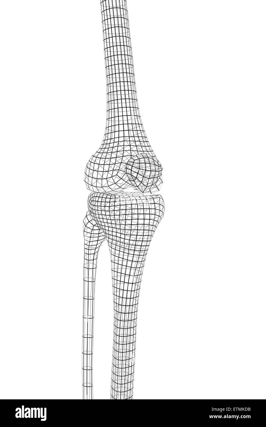 Knee anatomy illustration Black and White Stock Photos & Images - Alamy
