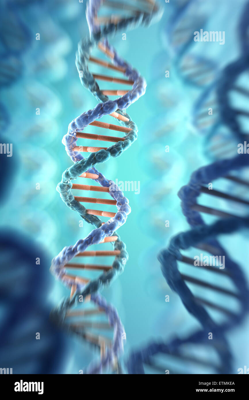 Stylized illustration of strands of human DNA, deoxyribonucleic acid ...