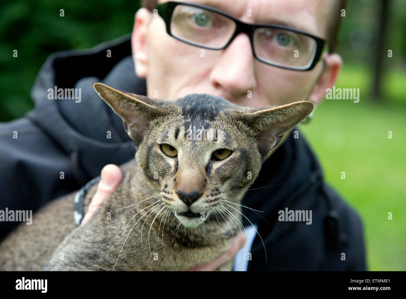 closeup portrait man with his cat Stock Photo - Alamy