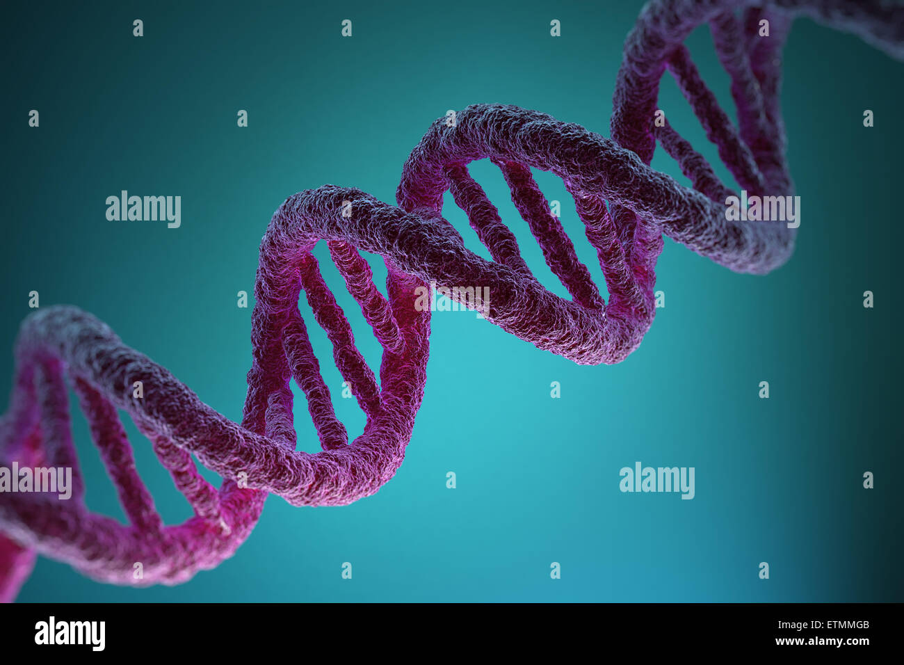 Real Human Dna Strand