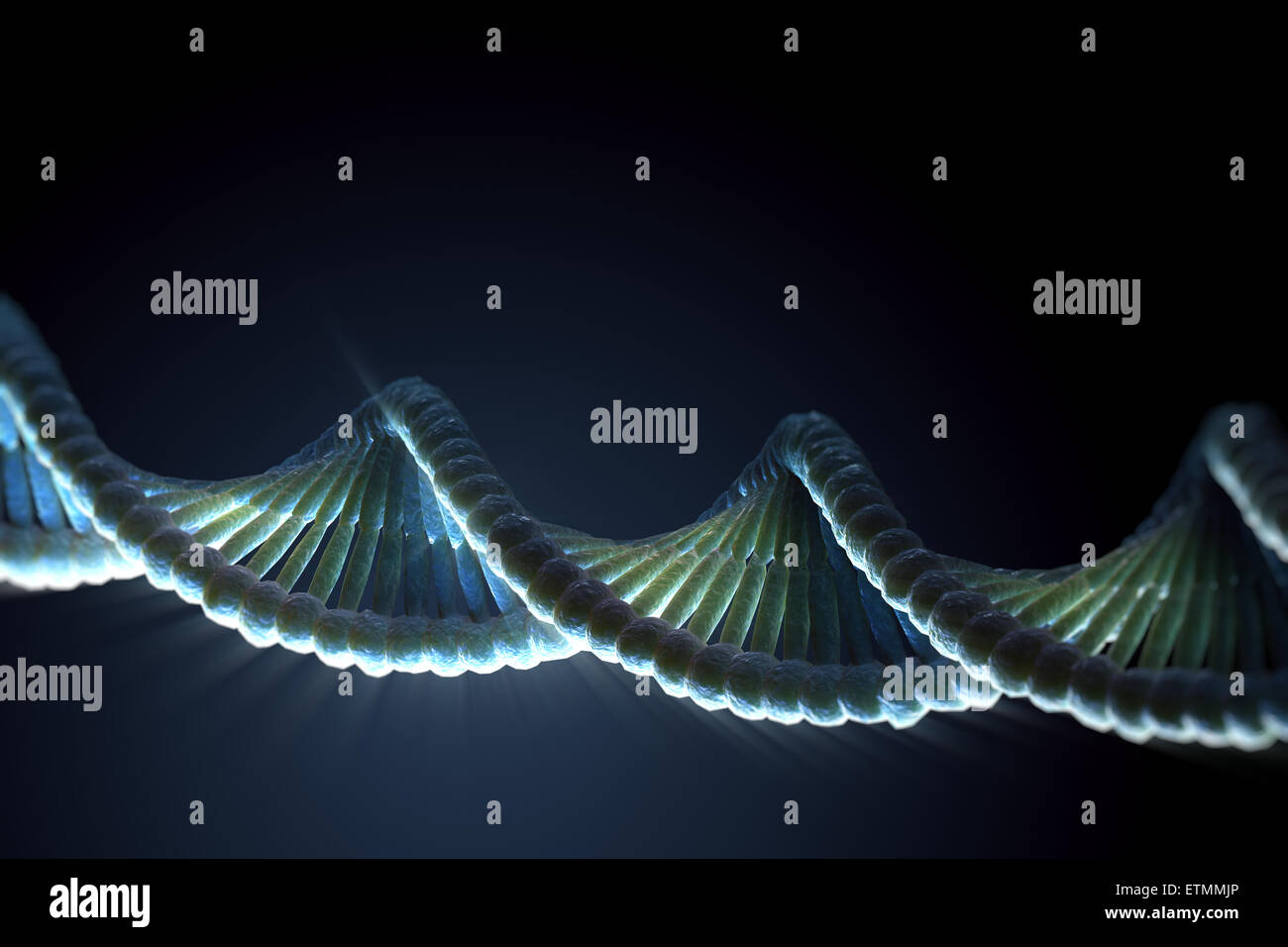 Stylized illustration of strands of human DNA, deoxyribonucleic acid ...
