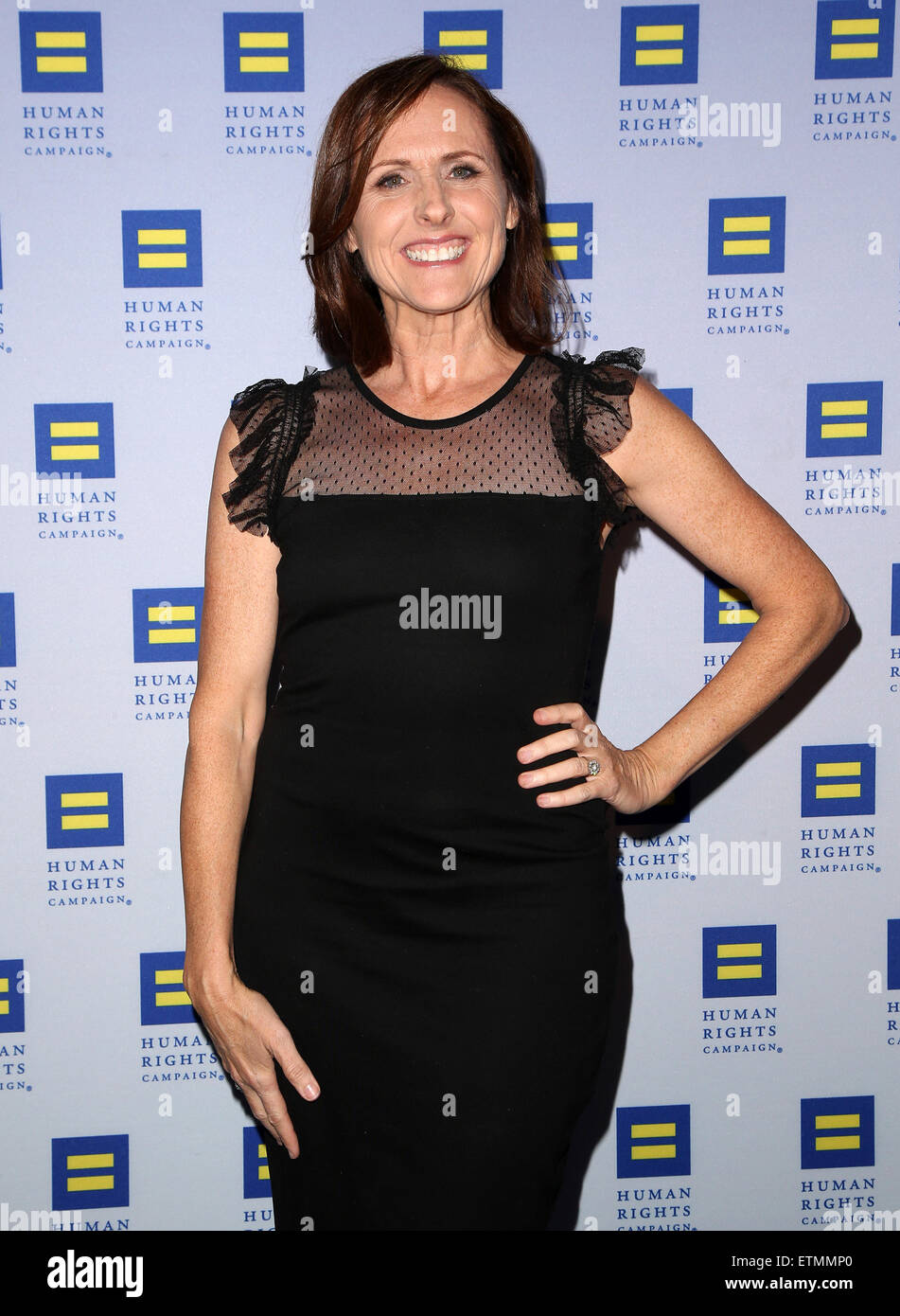 HRC Los Angeles Gala Dinner 2015 at the JW Marriott Hotel at LA Live ...