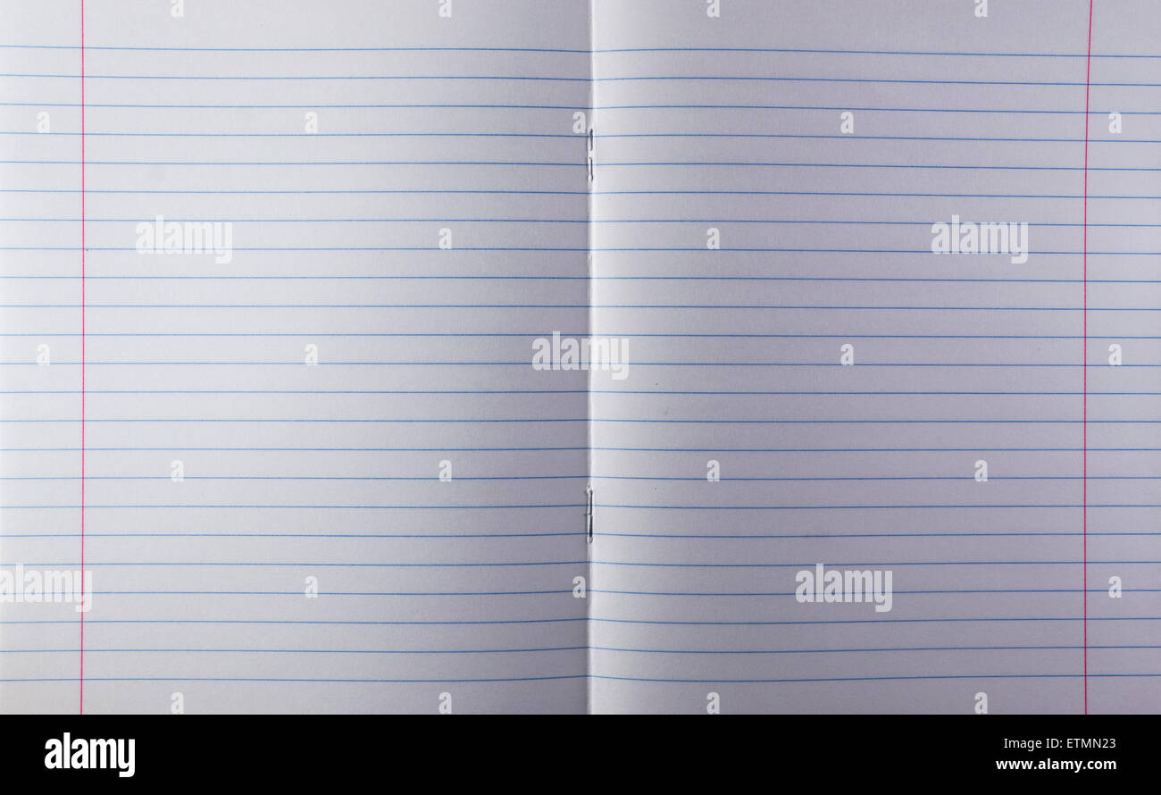 White text book open in center with bank clean lines and margins Stock ...