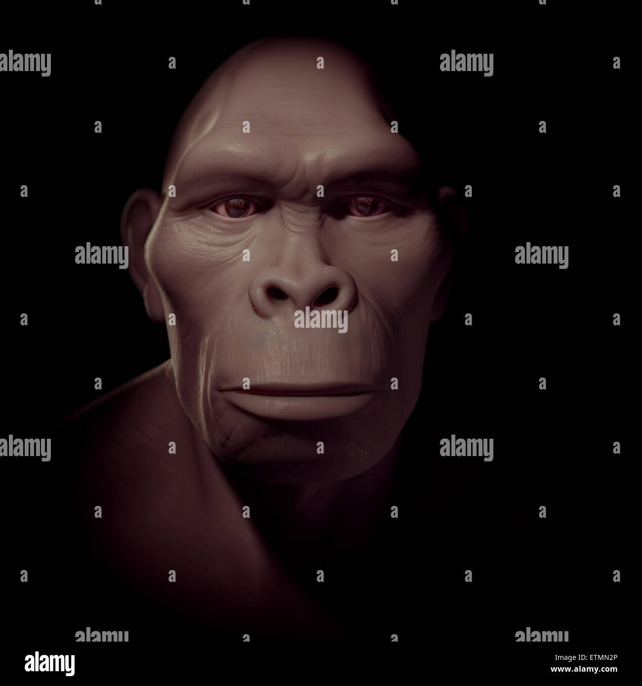 Homo sapiens prehistoric hi-res stock photography and images - Alamy