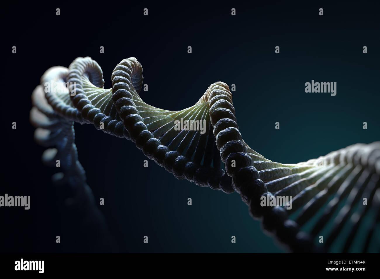 Real Human Dna Under Microscope