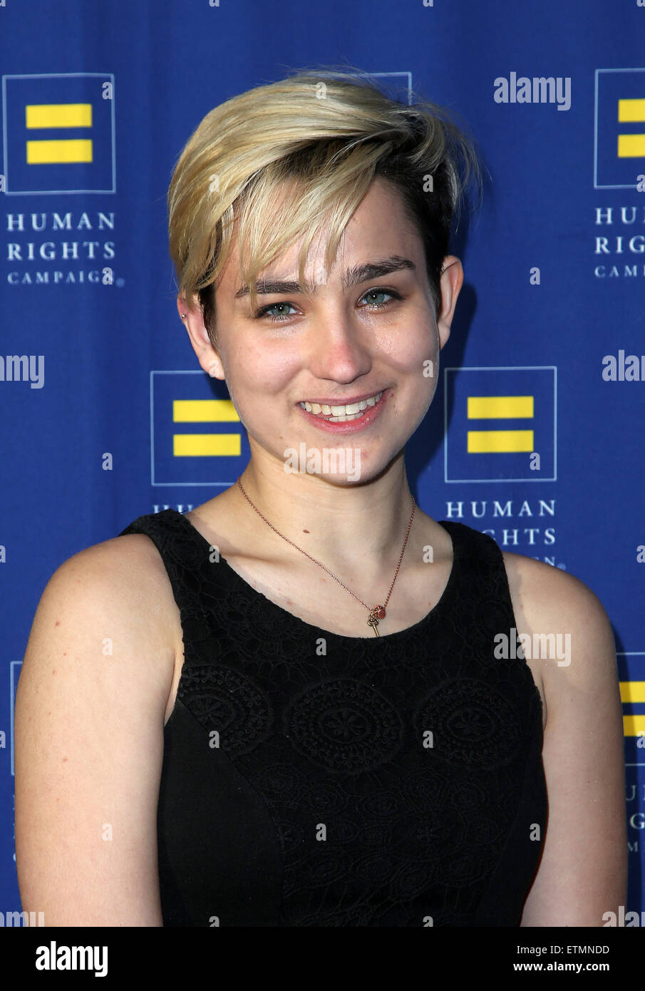 HRC Los Angeles Gala Dinner 2015 at the JW Marriott Hotel at LA Live ...