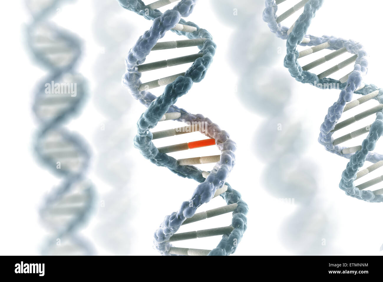 Dna replication hi-res stock photography and images - Alamy