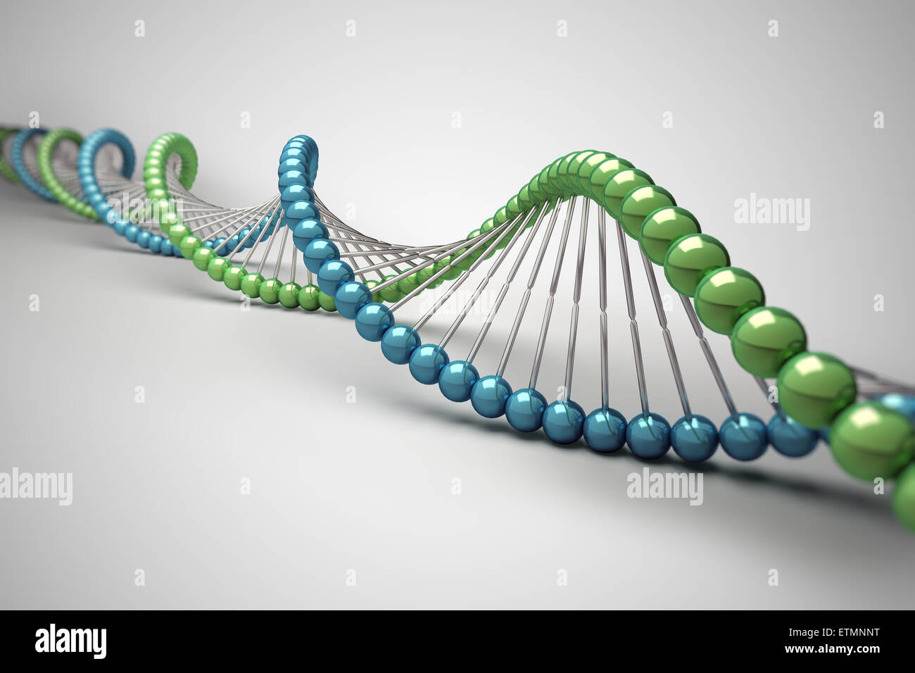 Stylized illustration of strands of human DNA, deoxyribonucleic acid ...