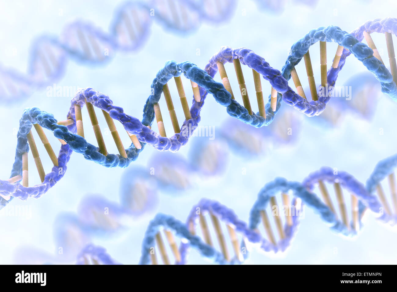Dna hi-res stock photography and images - Alamy