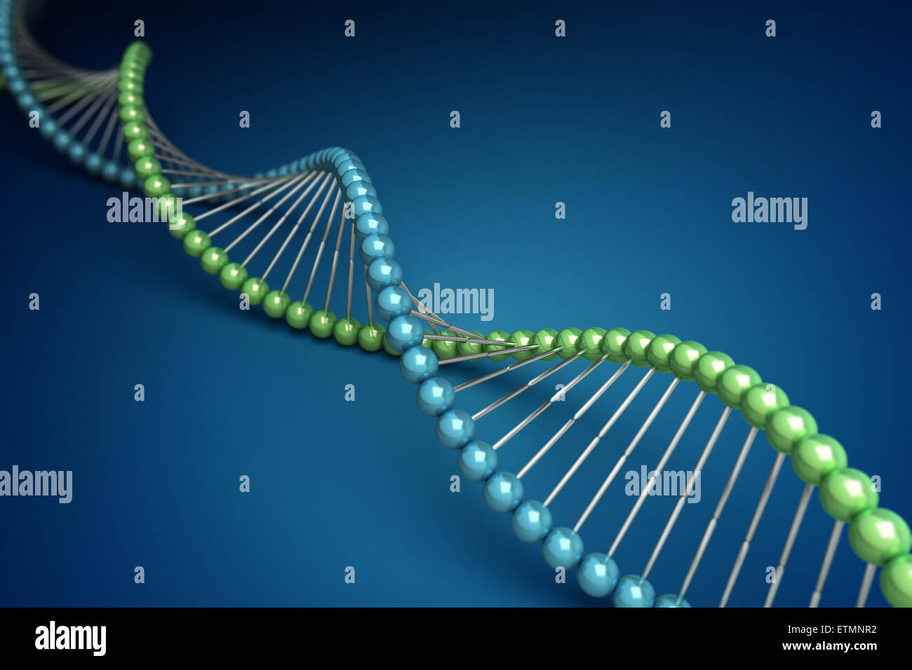 Stylized illustration of strands of human DNA, deoxyribonucleic acid ...