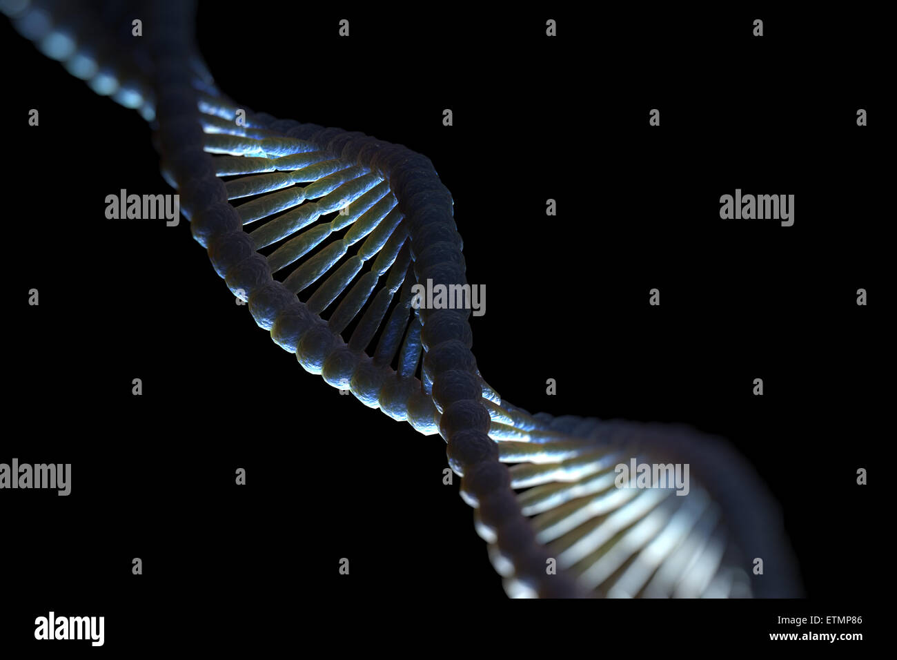 Stylized illustration of strands of human DNA, deoxyribonucleic acid ...