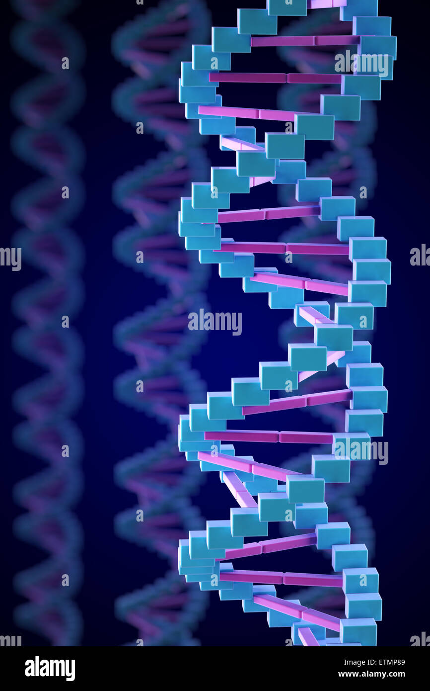 Stylized dna double helix model hi-res stock photography and images - Alamy
