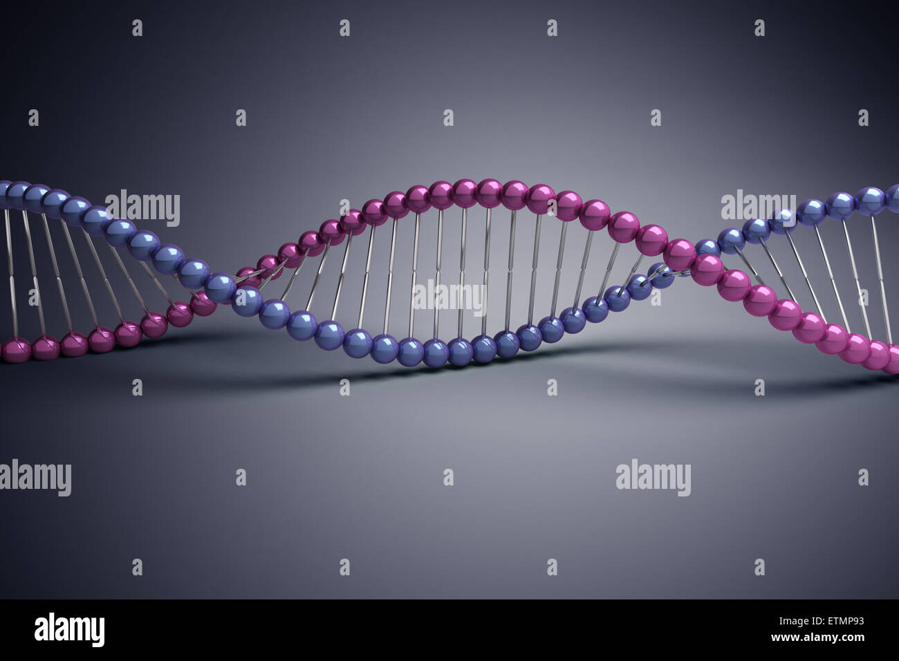 Stylized illustration of strands of human DNA, deoxyribonucleic acid ...