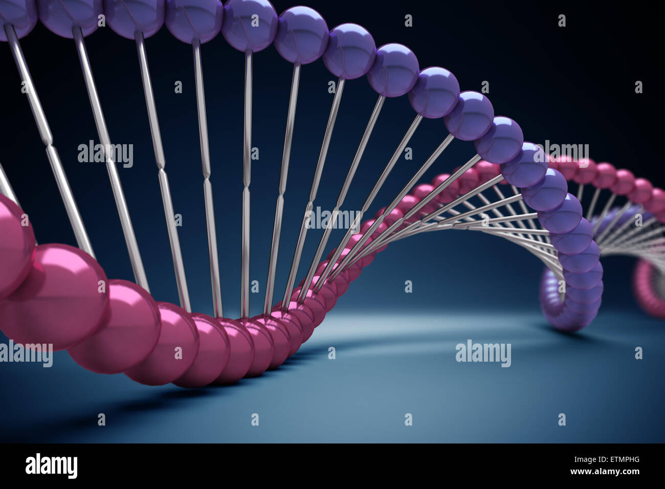 Stylized illustration of strands of human DNA, deoxyribonucleic acid ...