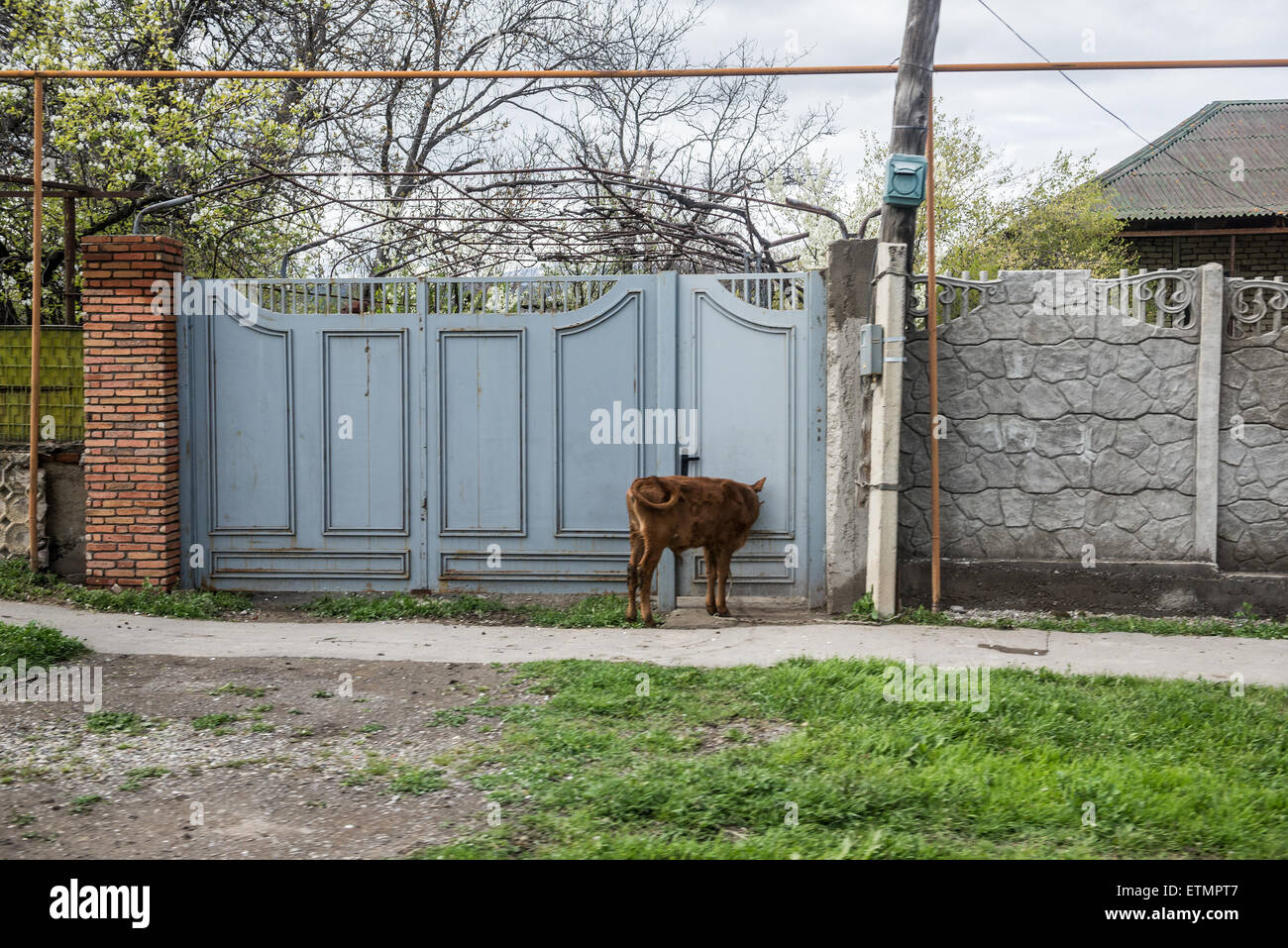 House on Georgian countryside Stock Photo - Alamy