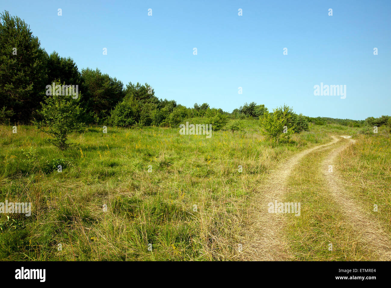 the rural road Stock Photo - Alamy