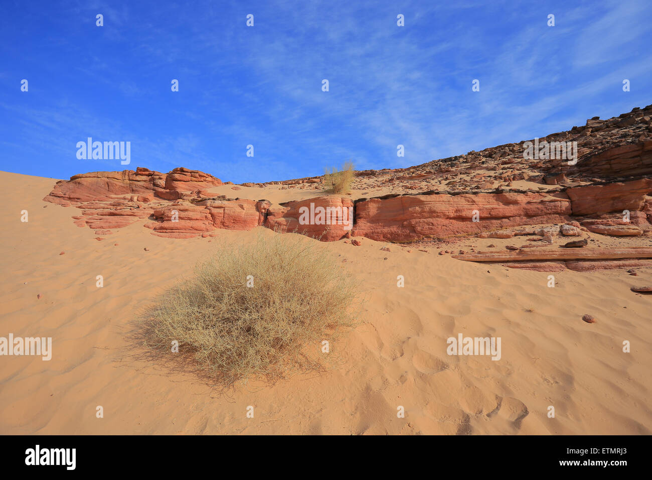 Canyon in desert hi-res stock photography and images - Alamy