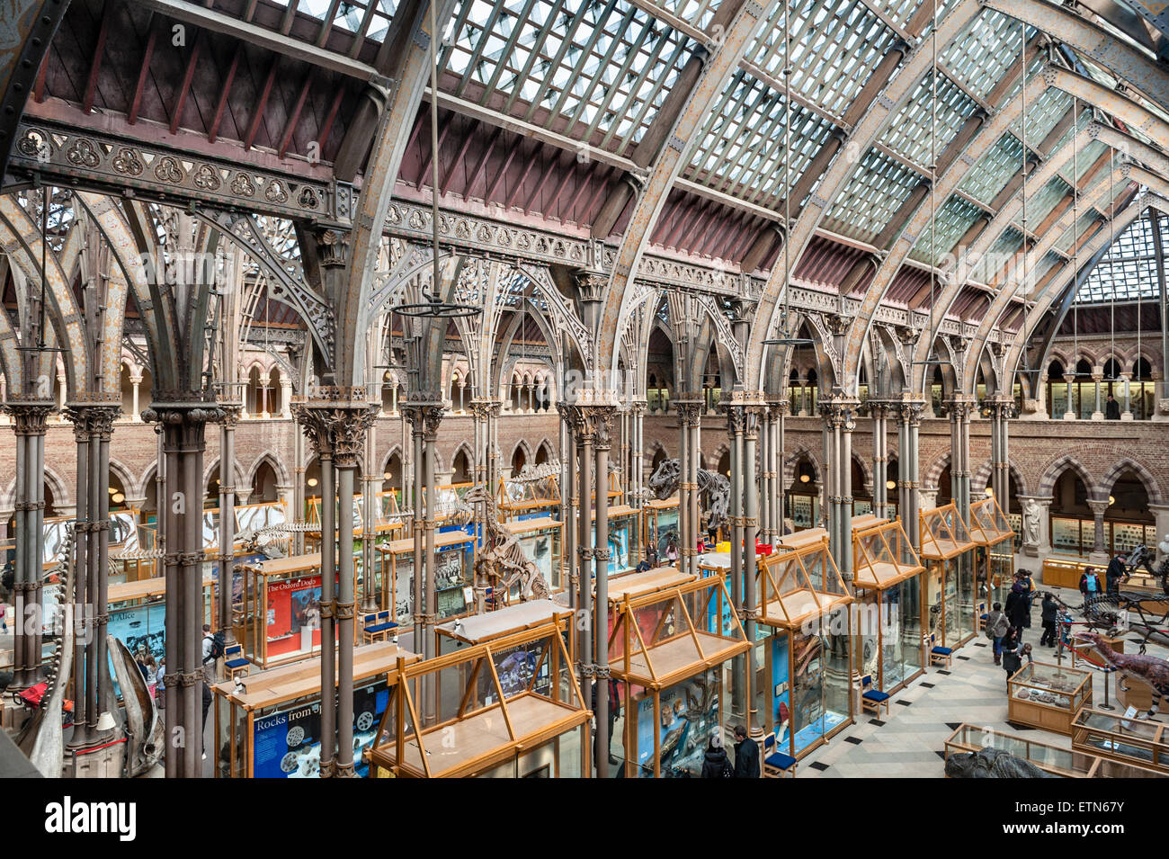 The Oxford University Museum of Natural History, UK. The main hall showing the cast-iron columns ...