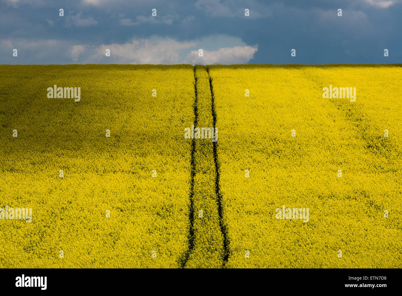 In parallel paths hi-res stock photography and images - Alamy