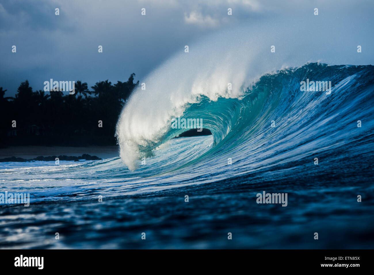 Wave breaking on the reef along the shallow waters, North Shore, Hawaii ...