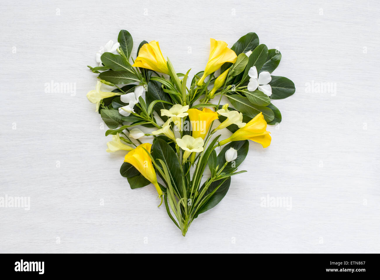Bouquet of yellow and white flowers in a heart shape on white ...