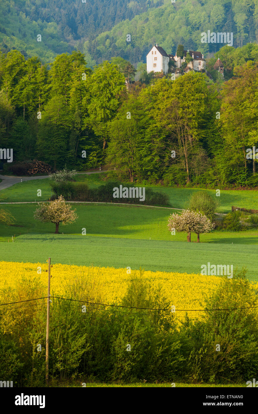 Spring morning at Burg im Leimental, canton of Basel-Country ...
