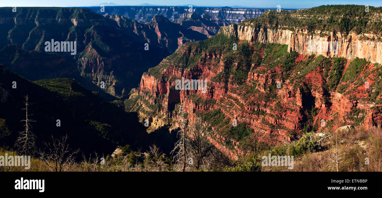 North Rim, Grand Canyon panorama, Arizona, USA Stock Photo - Alamy