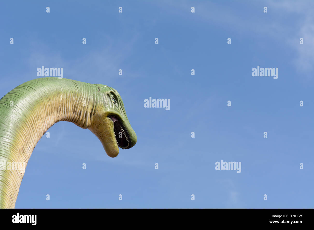 Brontosaurus teeth hi-res stock photography and images - Alamy