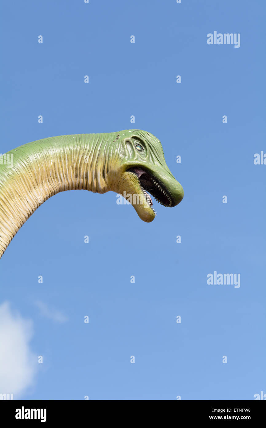 Brontosaurus teeth hi-res stock photography and images - Alamy