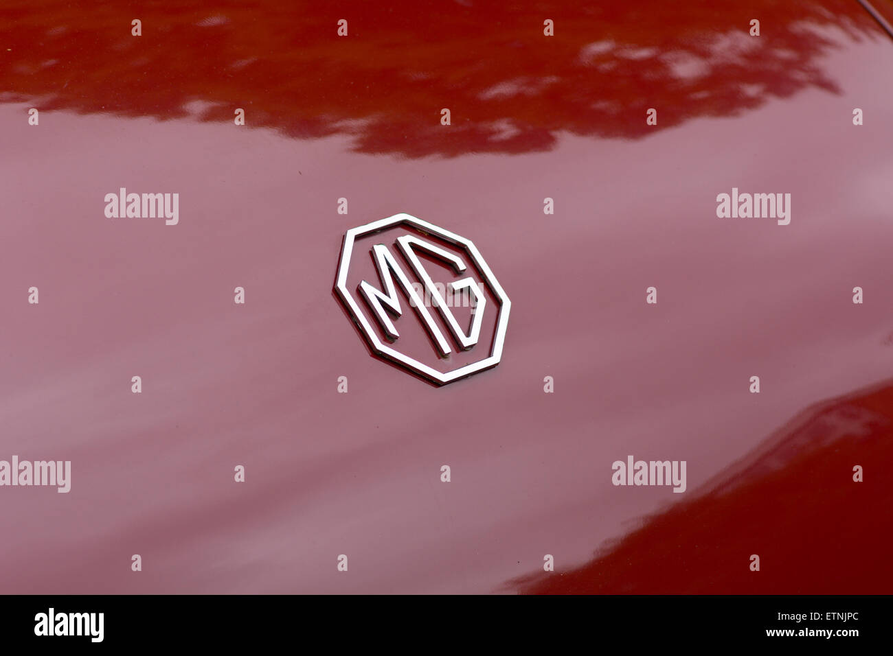 MG car badge on boot of car Stock Photo - Alamy