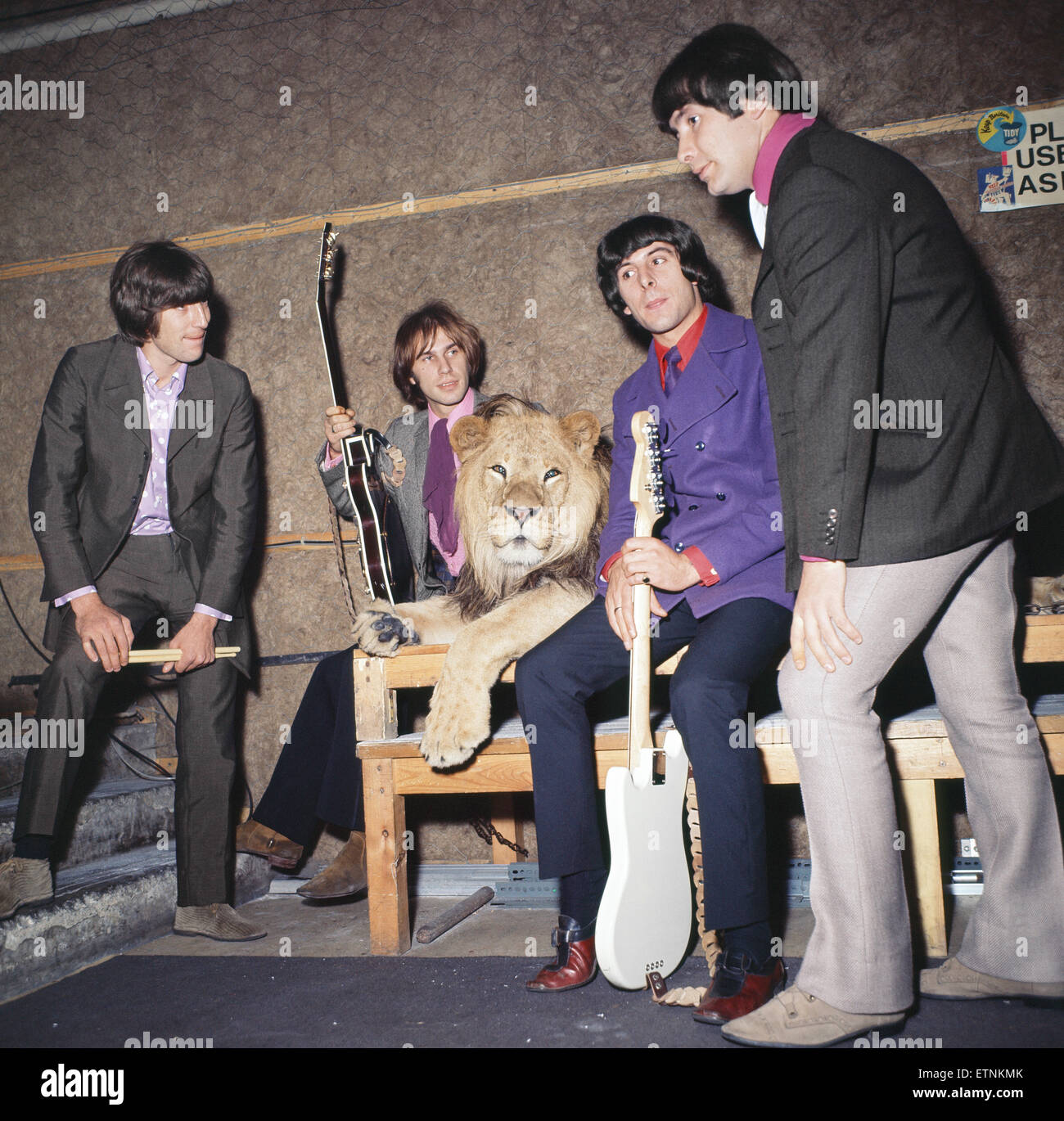 British rock group The Troggs with their rent a lion during the ...